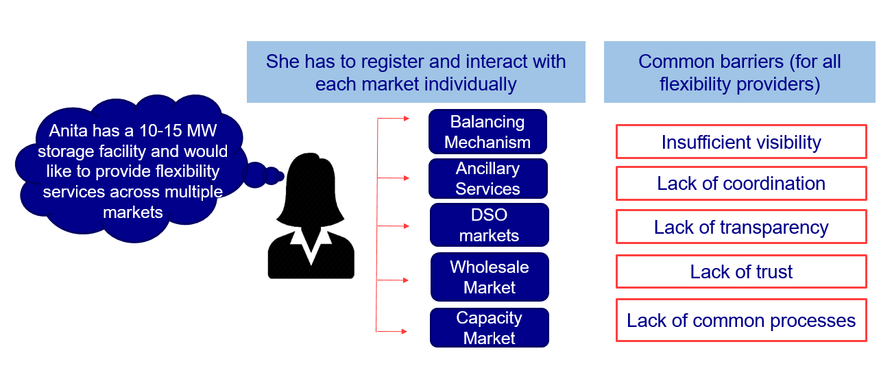 Elexon Insight: The key to unlocking the future of local flexibility ...