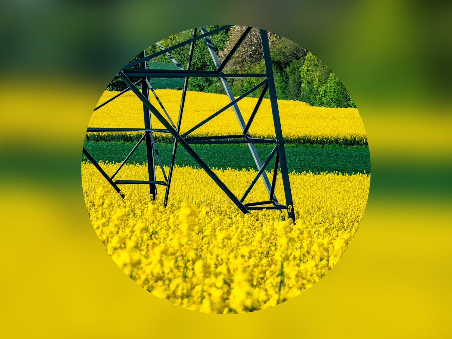 News Archives - Elexon