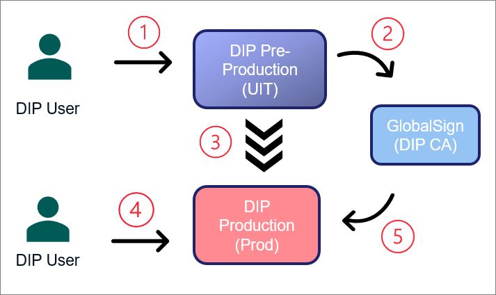 DIP Training and guidance - Elexon
