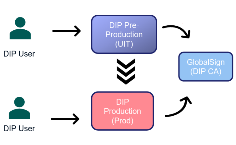 DIP training and guidance - Elexon